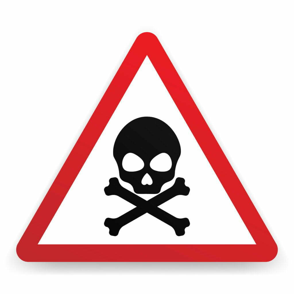 Poisonous for Dogs - My Dachshund