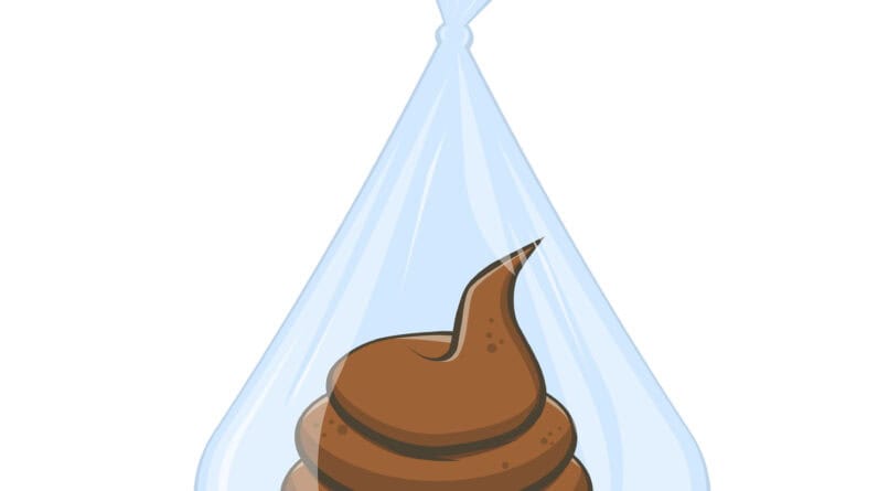 What you can learn from dog poo!!!! - My Dachshund